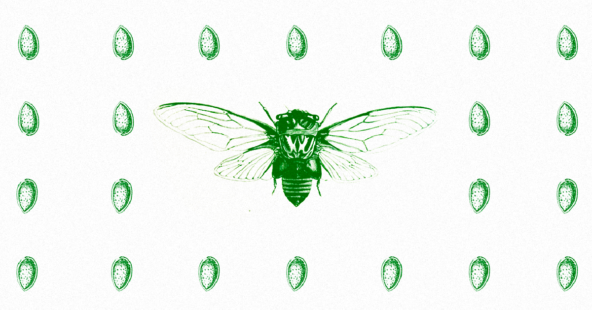 The Yale Review | Derrick Austin: "Flies"