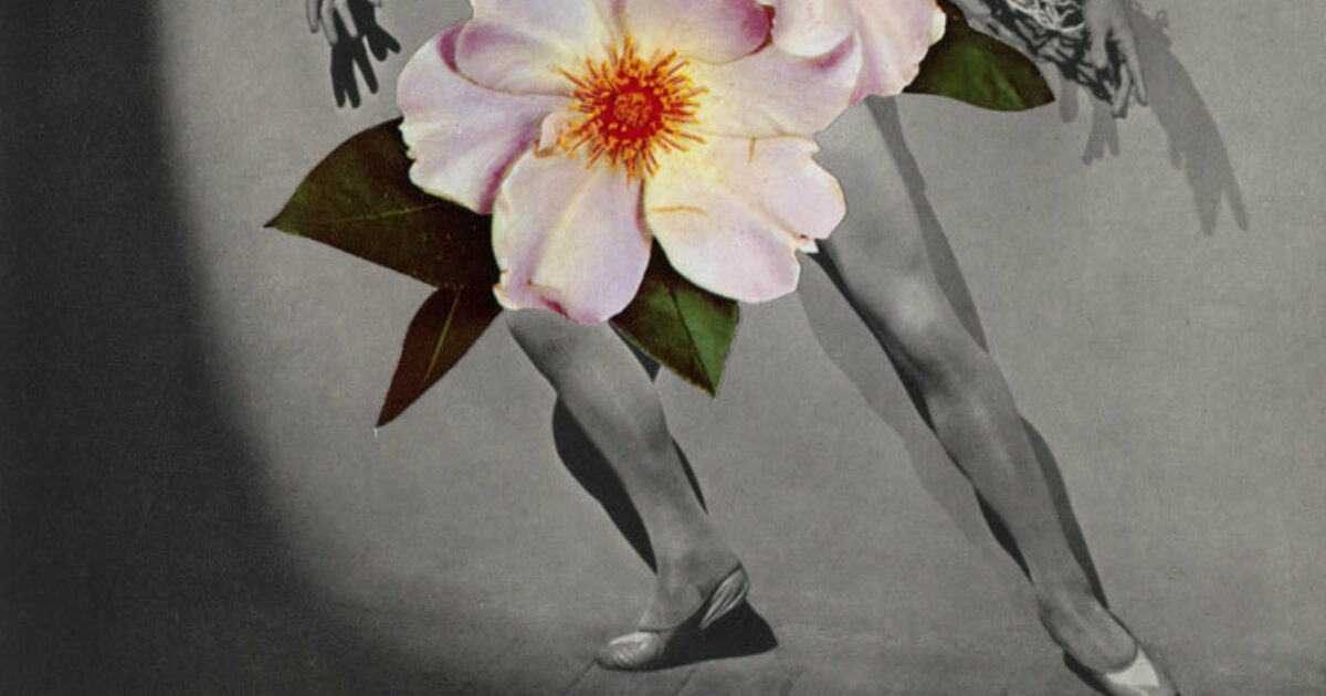 The Yale Review | Deborah Landau: "SKELETON"