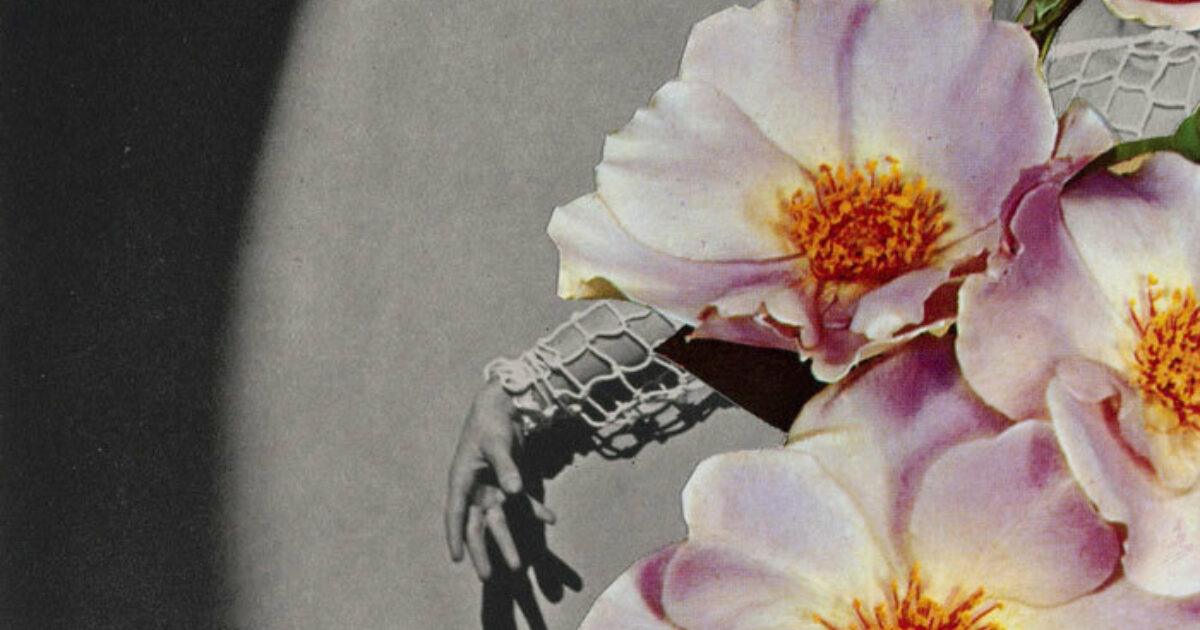 The Yale Review | Deborah Landau: "SKELETON"