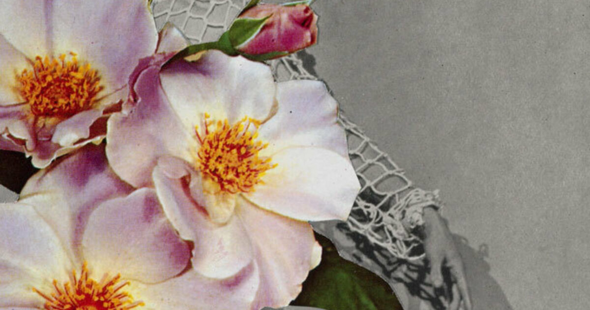 The Yale Review | Deborah Landau: "SKELETON"