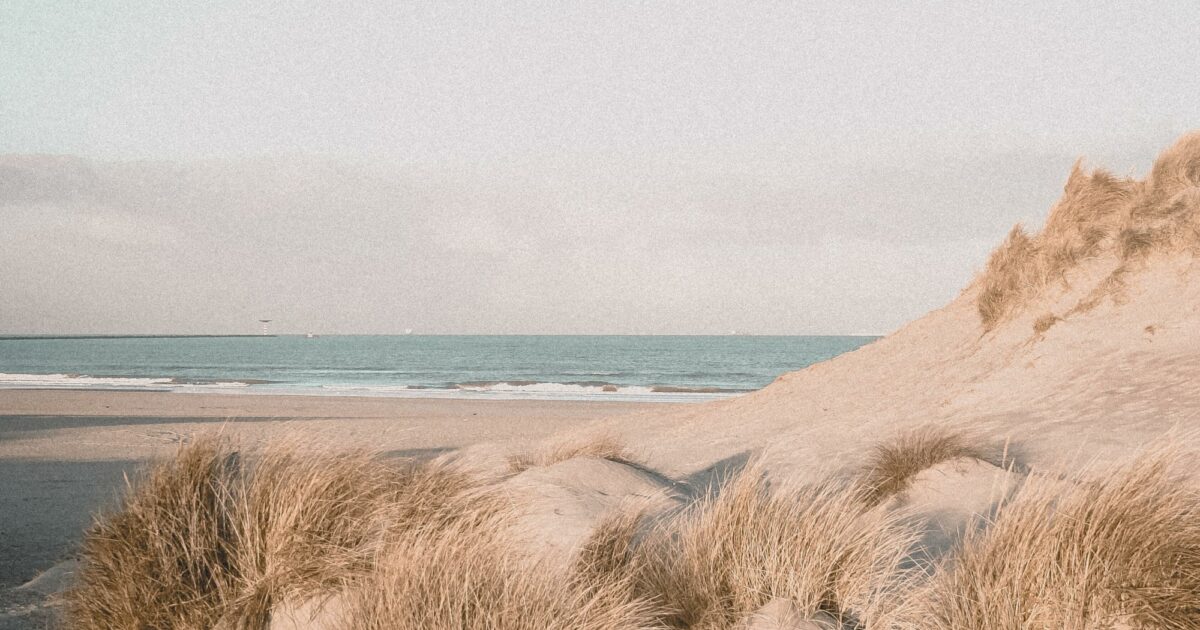 The Yale Review | Jen Levitt: "Dunes"