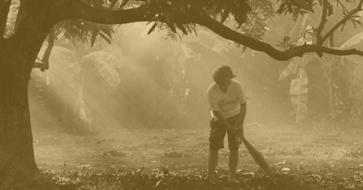 The Yale Review | ﻿Cathy Linh Che: "Fade In"