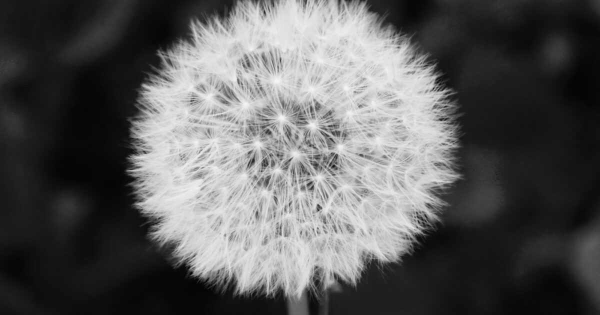 The Yale Review | David Ulin: "The Unthinkable"