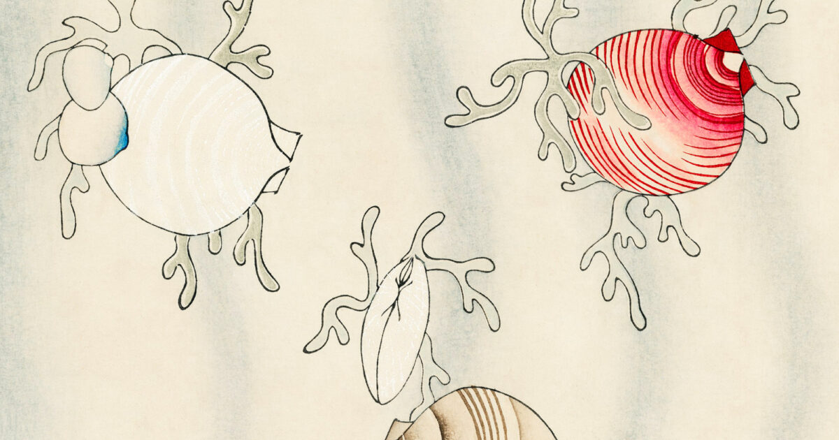 The Yale Review | "The Hearts of Our Enemies" by Dantiel W. Moniz