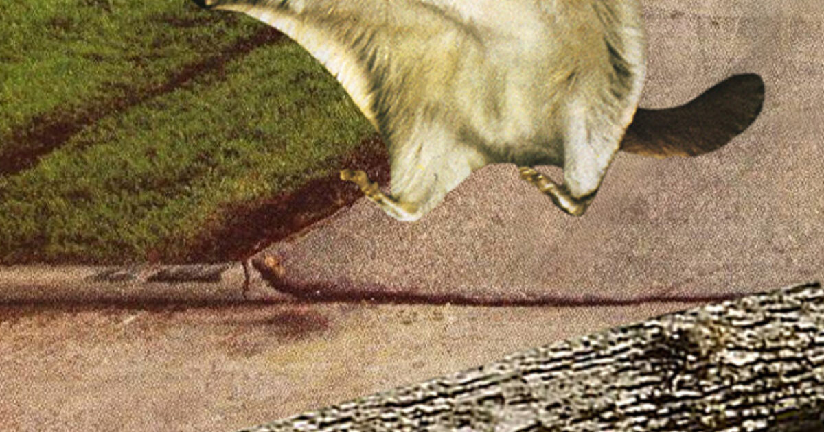 The Yale Review | John Jeremiah Sullivan: "The Flight"