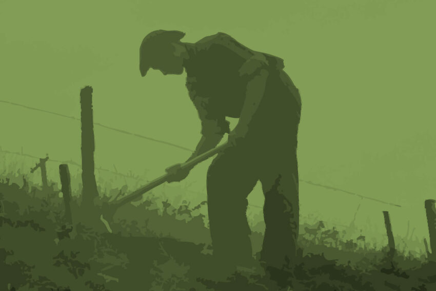 The Yale Review | Folio: Poems About Work